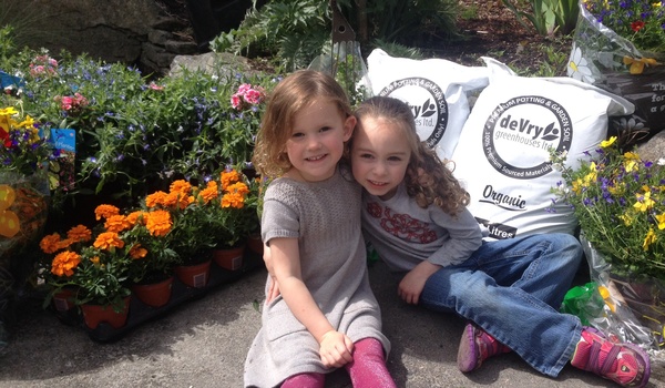 Product Summary : Calgary Quest School